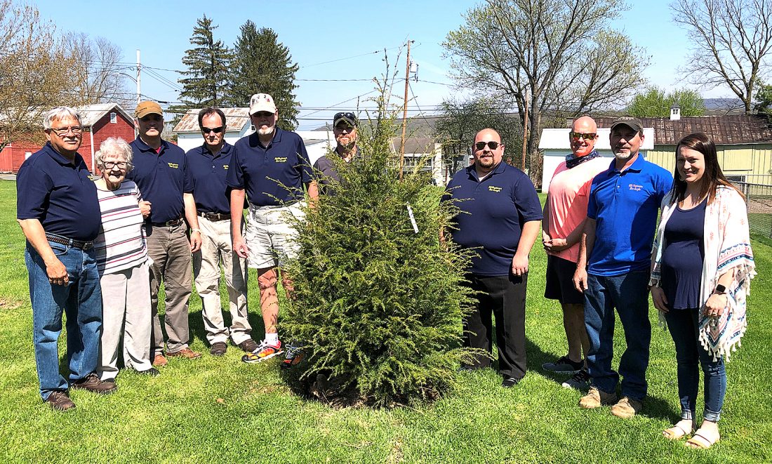 Rothrock Tree | News, Sports, Jobs - The Sentinel